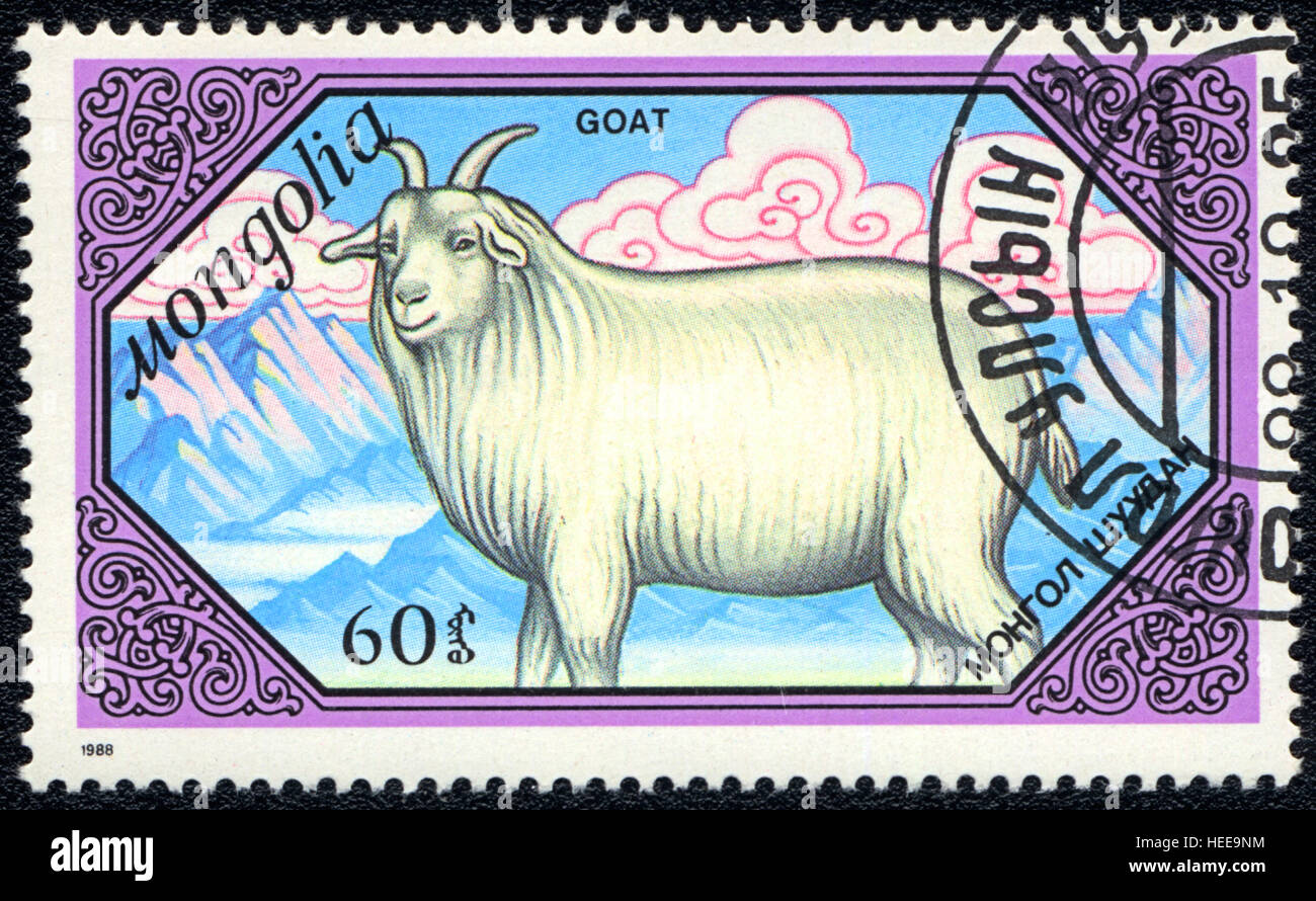 A wild mountain goat hi-res stock photography and images - Alamy