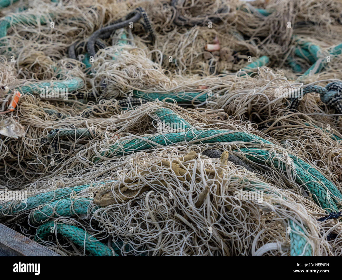 Tangled fishing rope and net on Eastbourne beach Stock Photo - Alamy