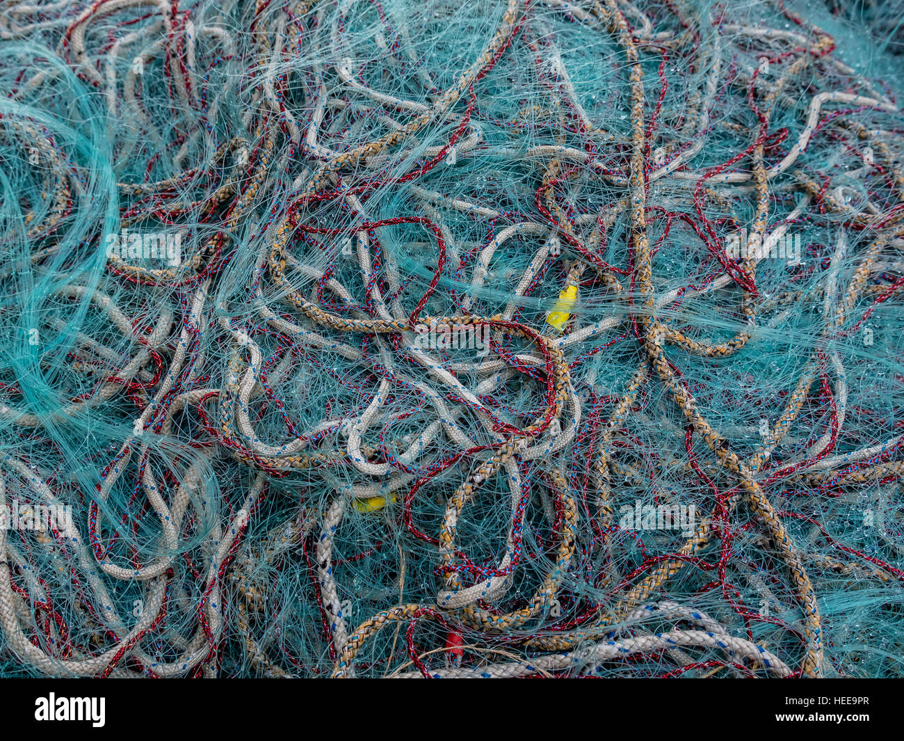 Tangled fishing rope and net on Eastbourne beach Stock Photo - Alamy