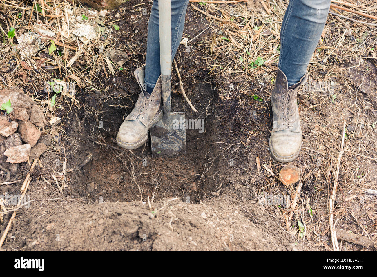 The feet of a person in boots standing by a hole with a spade Stock ...