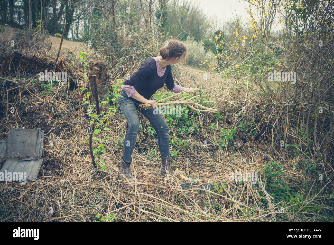 Person pulling weeds hi-res stock photography and images - Alamy