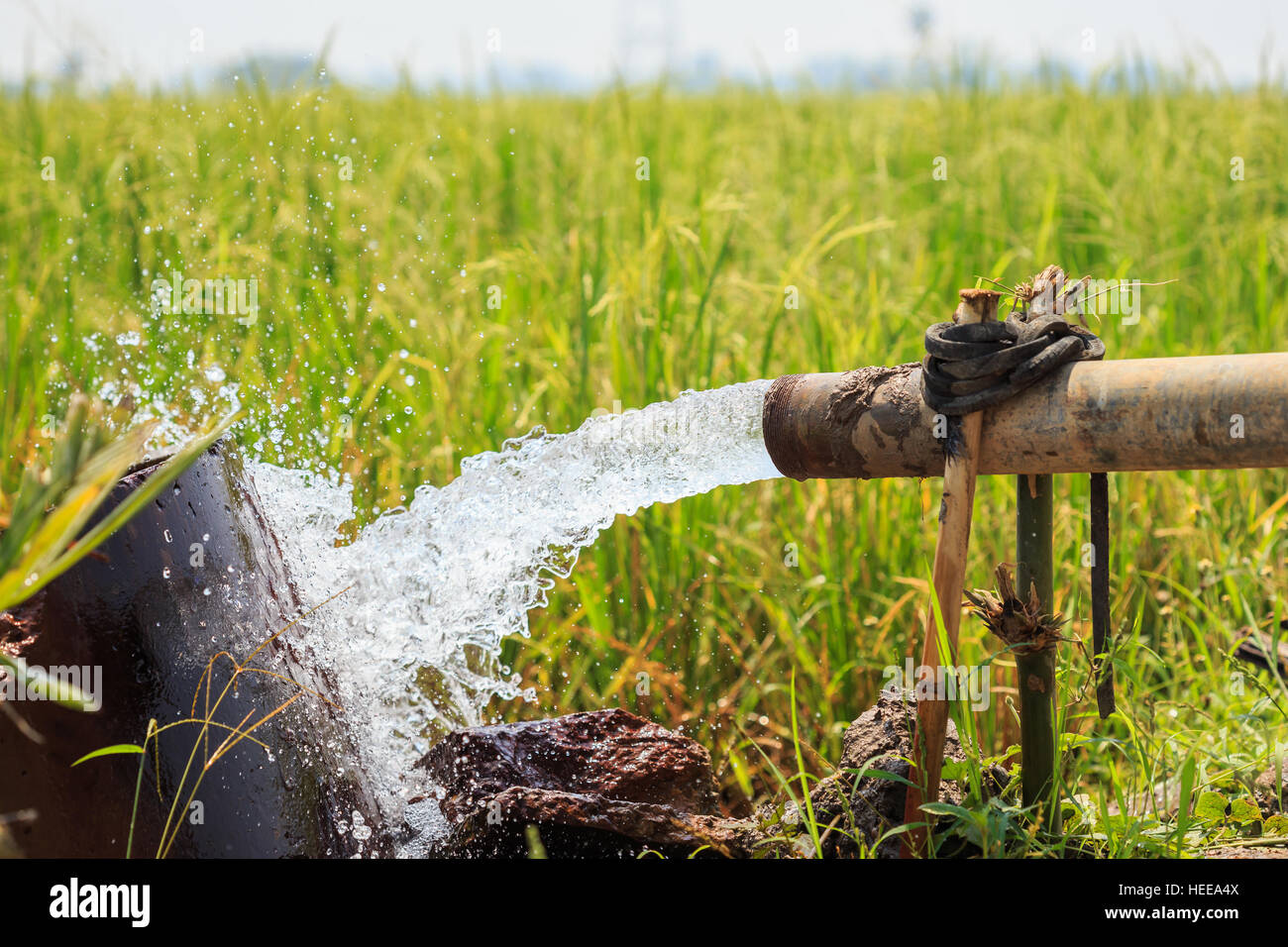 Water motor pump hi-res stock photography and images - Alamy