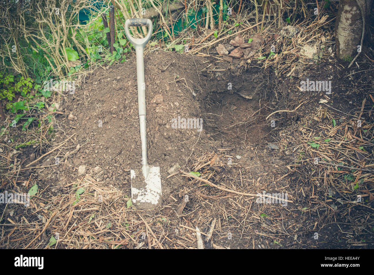 A spade in a hole outside Stock Photo - Alamy