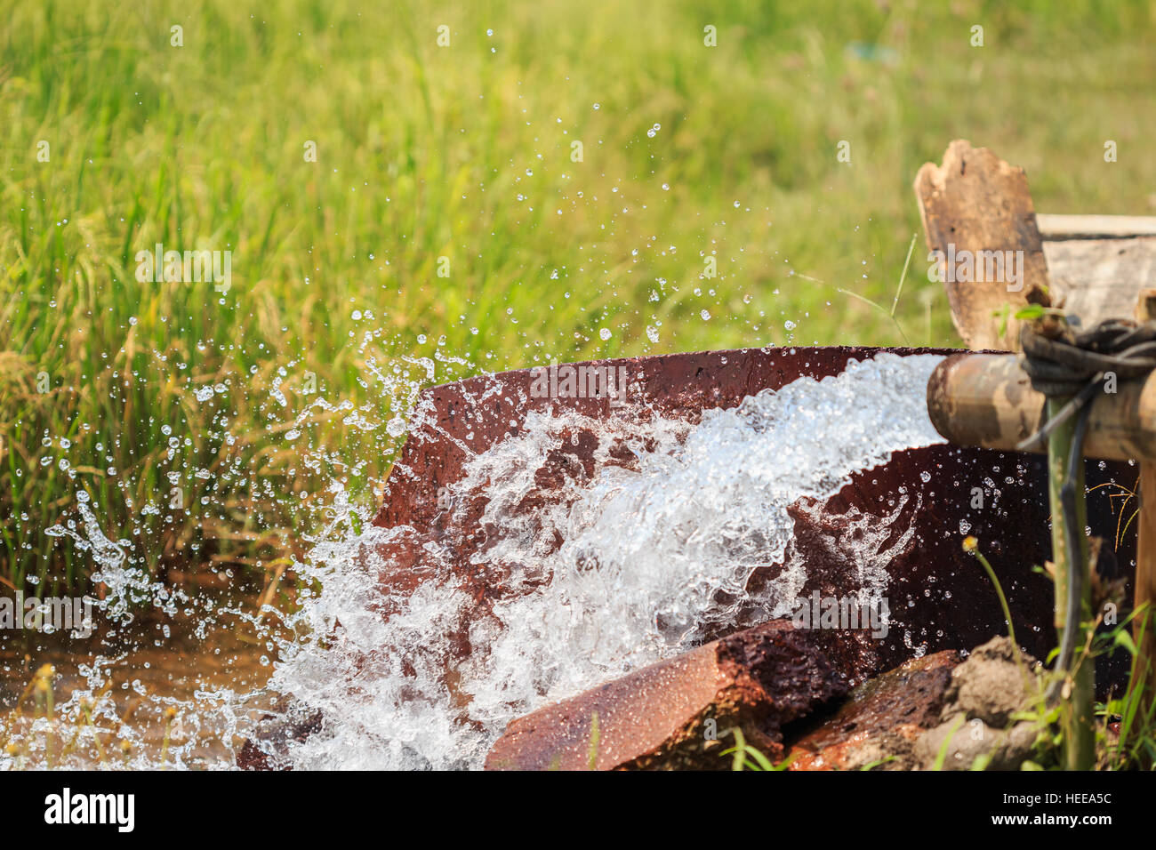 Water flow from large pump tube in rice field in central of Thailand ...