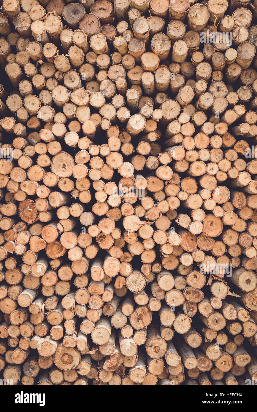 Stacked of wood log for construction buildings background and texture ...