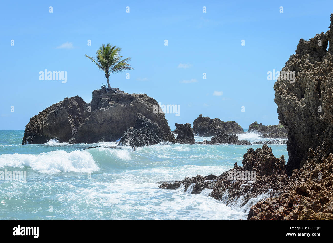 Mini island with a single coconut tree surrounded by sea water and some ...