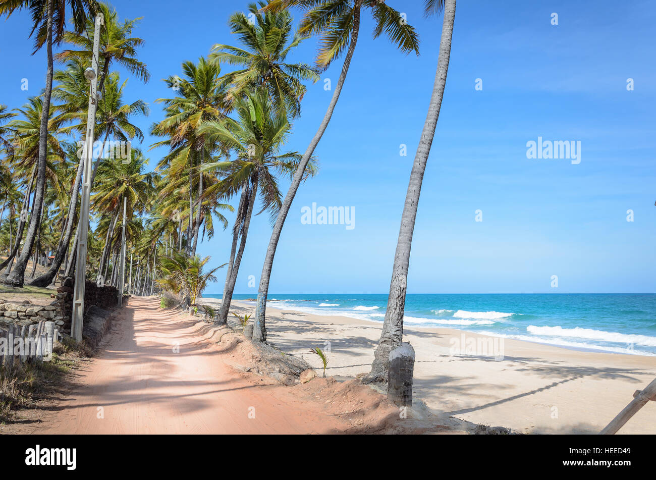Sandy road surrounded by coconut trees next to a beautiful beach with ...