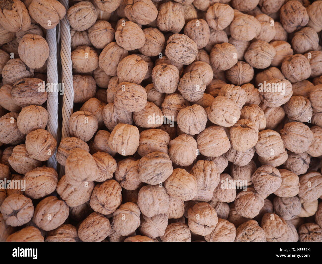 Bio walnut tree hi-res stock photography and images - Alamy