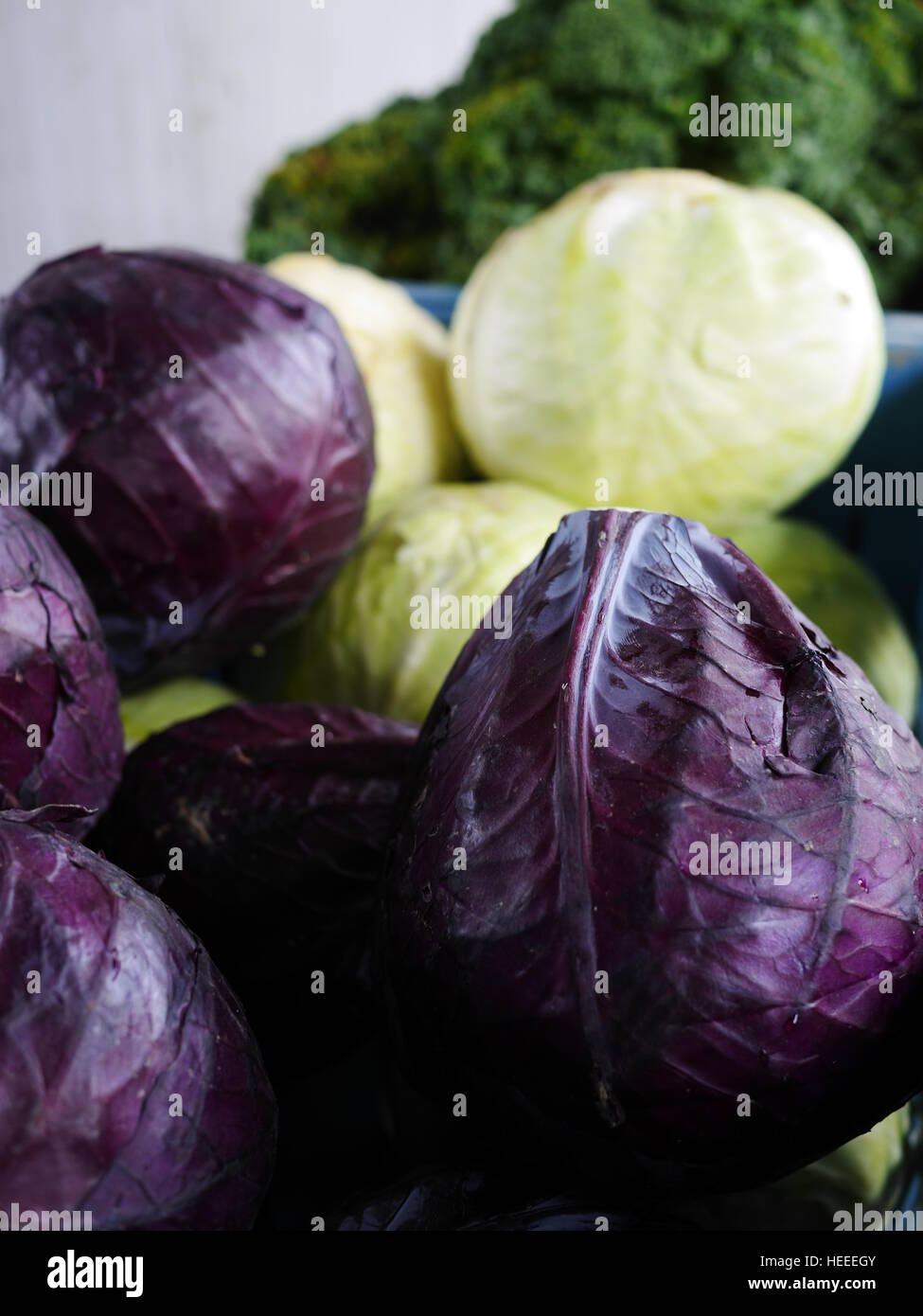 Red cabbage store hi-res stock photography and images - Alamy