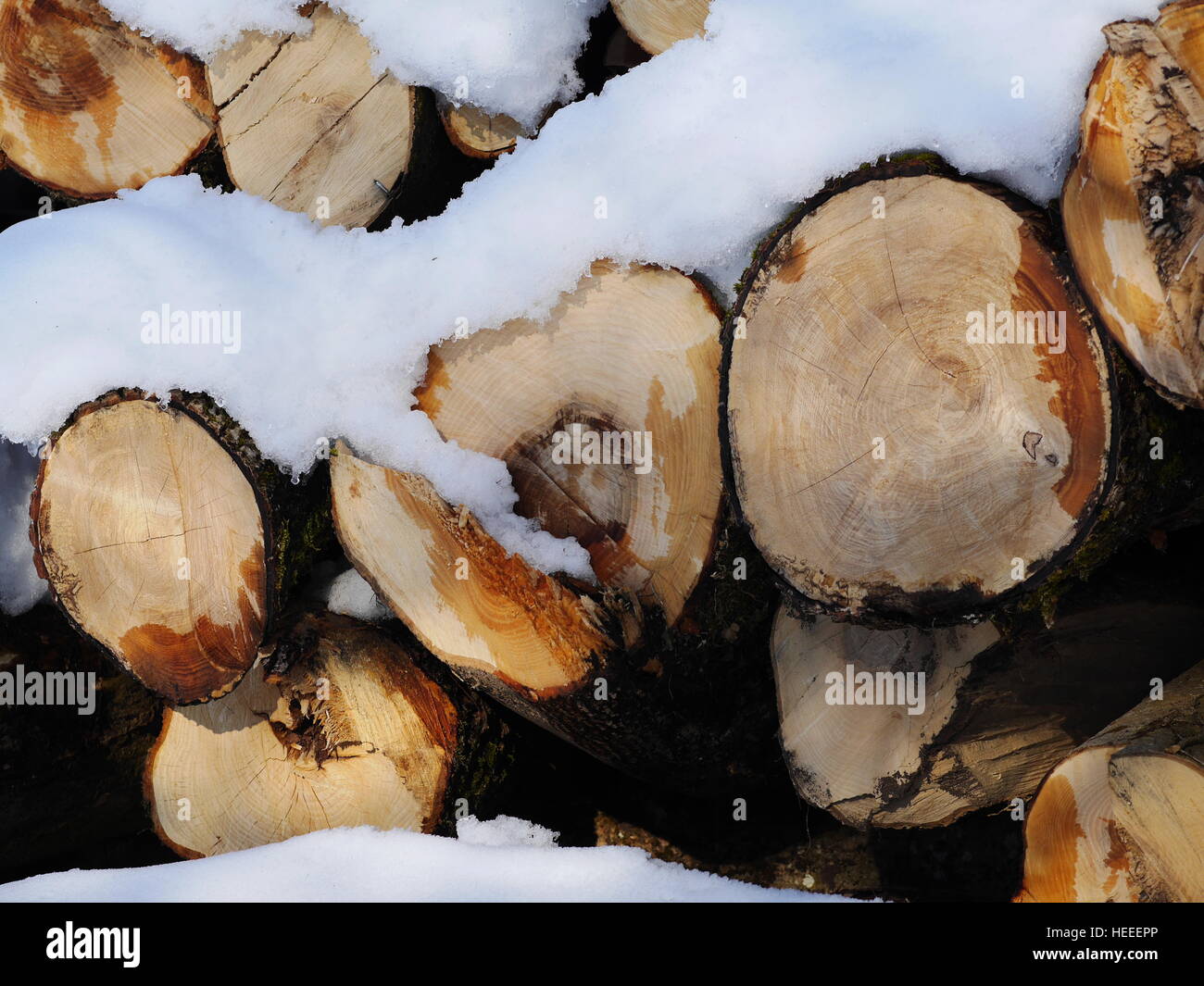 Brown season hi-res stock photography and images - Alamy