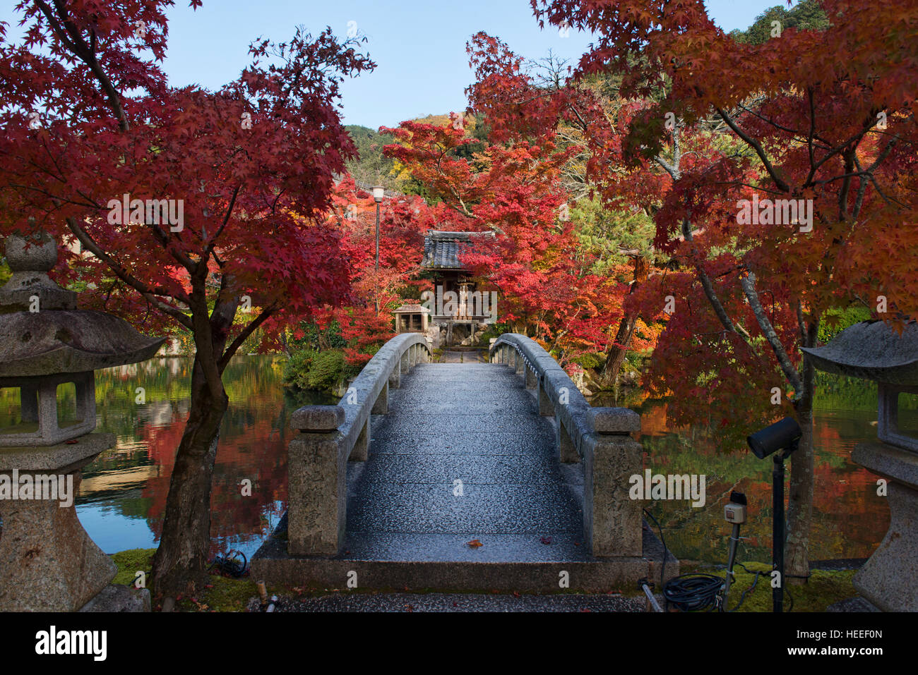 Autumn colors at Eikan-do Temple, Kyoto, Japan Stock Photo - Alamy