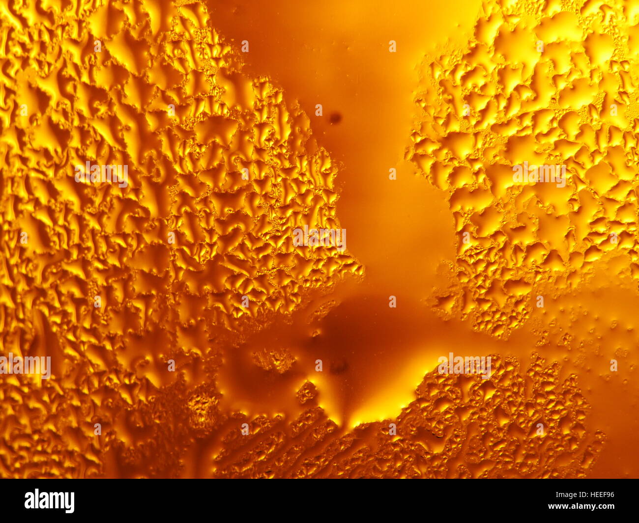 beer fresh cold Stock Photo - Alamy