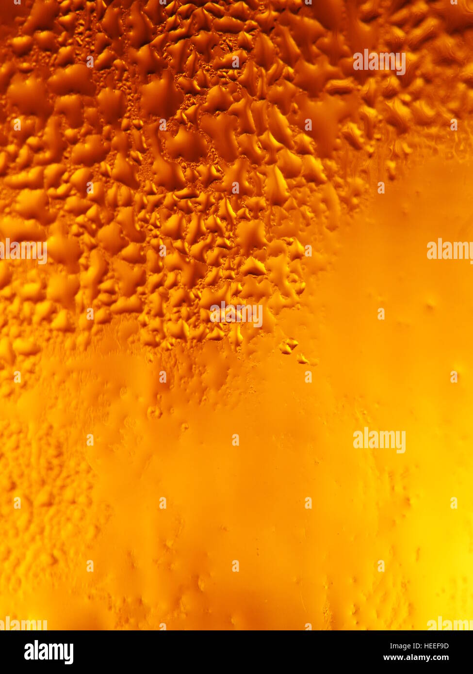 beer fresh cold Stock Photo - Alamy