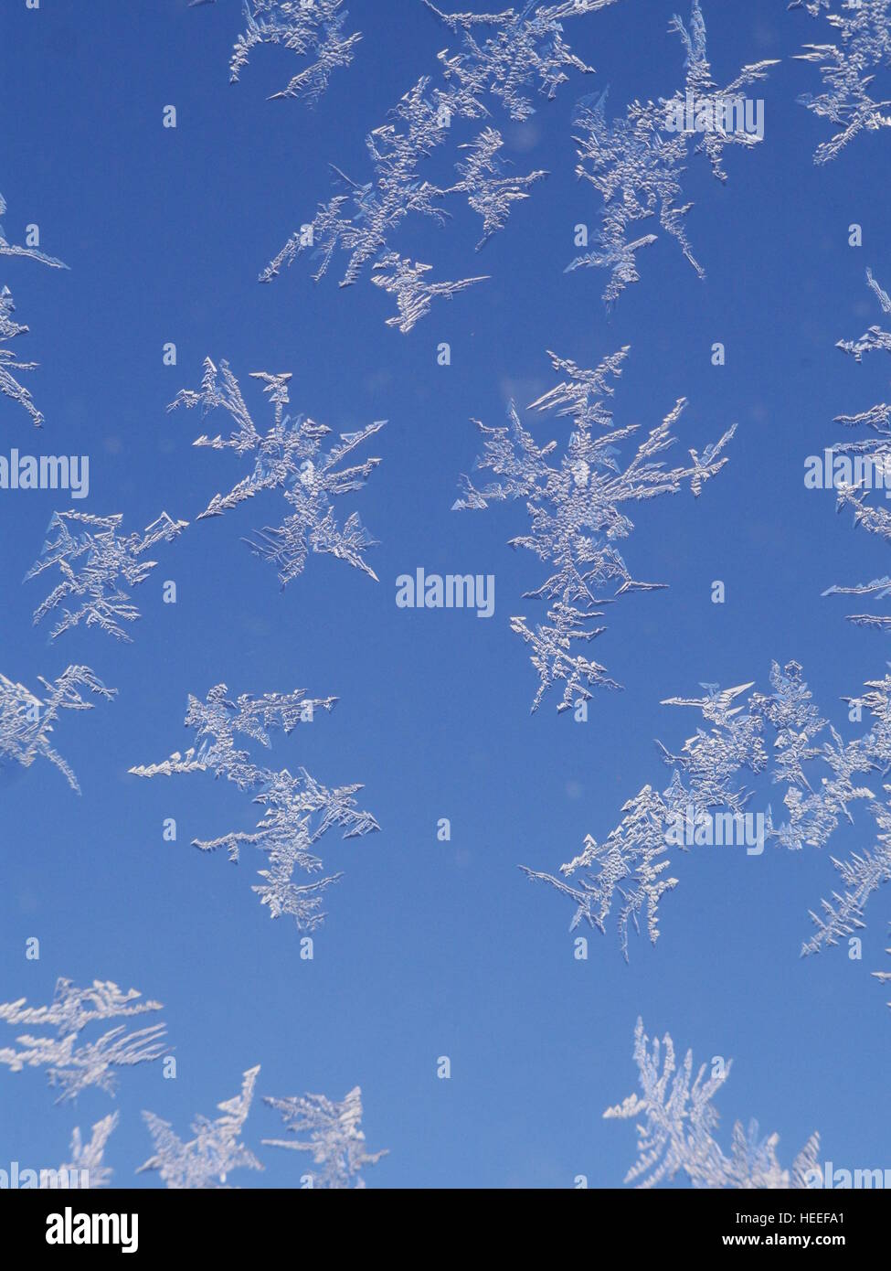 frost ice crystal on window Stock Photo - Alamy