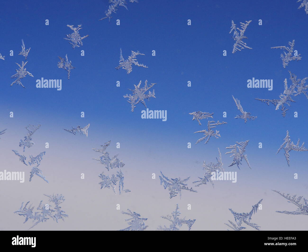 frost ice crystal on window Stock Photo - Alamy