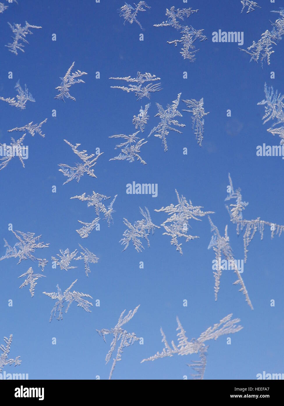 frost ice crystal on window Stock Photo - Alamy