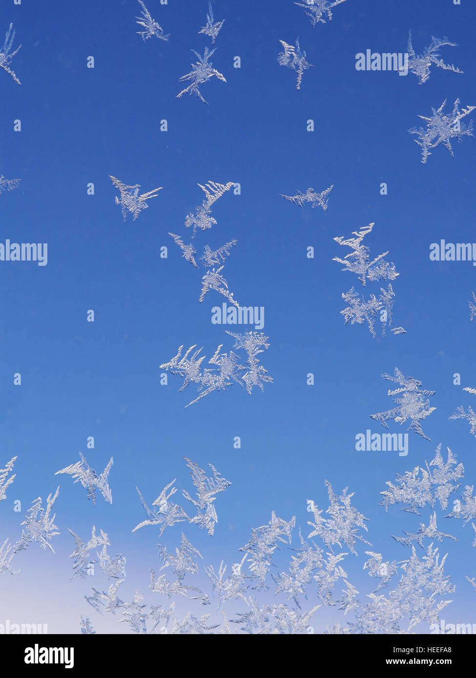 frost ice crystal on window Stock Photo - Alamy