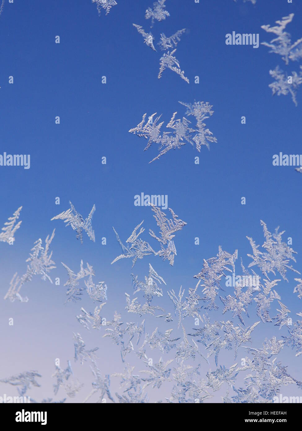 frost ice crystal on window Stock Photo - Alamy