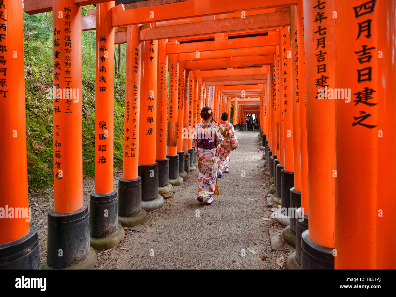 Endless torii shrine gates at Fushimi Inari Shrine, Kyoto, Japan Stock ...