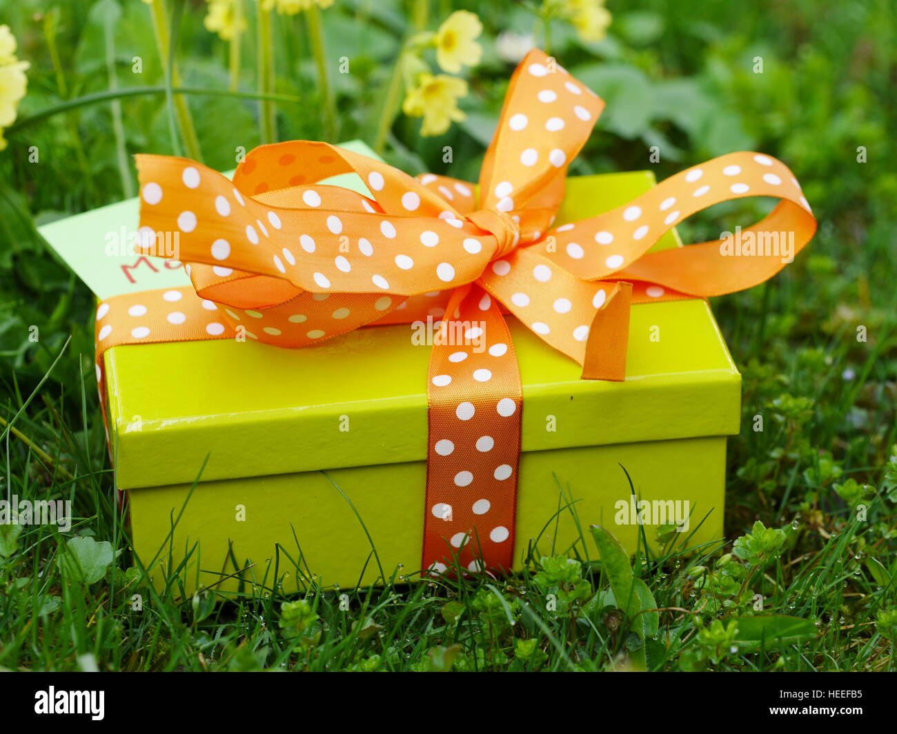 Mothers Day Gift Box Stock Photo Alamy