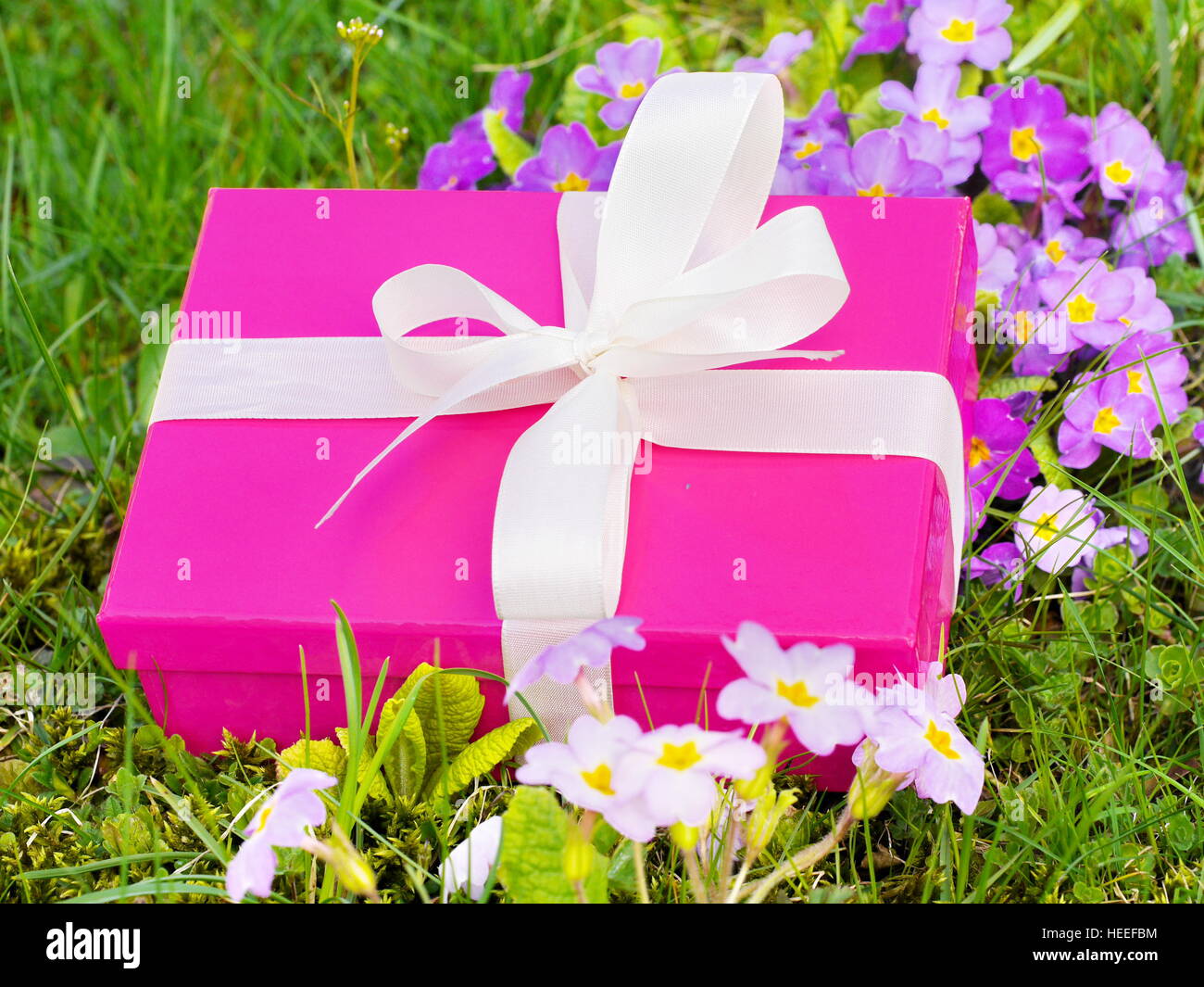 pink gift box Stock Photo - Alamy