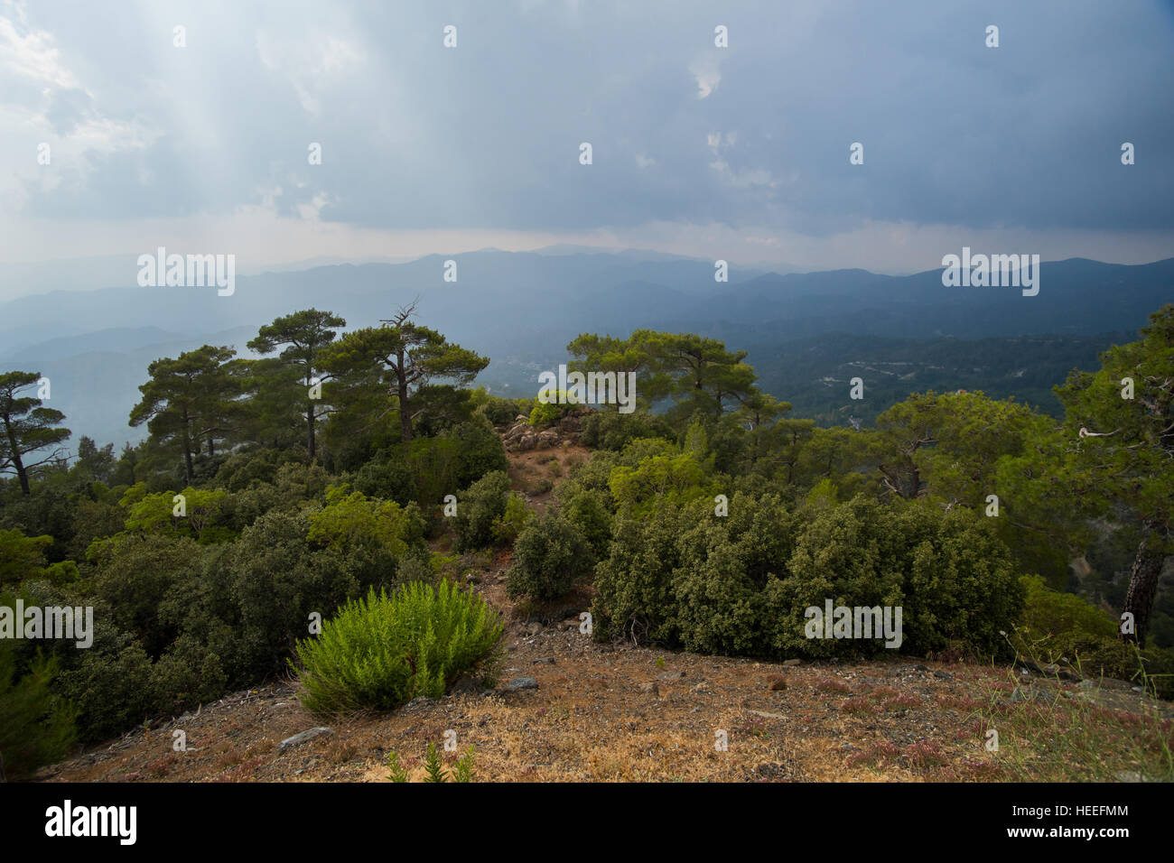 Rain in the Troodos mountains Stock Photo - Alamy