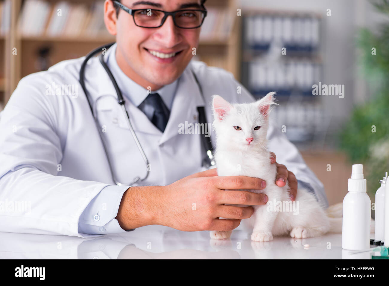 White kitten visiting vet for check up Stock Photo - Alamy