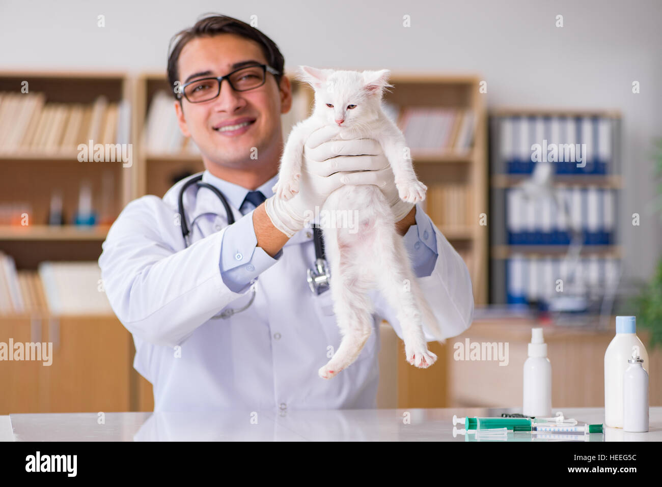 White kitten visiting vet for check up Stock Photo - Alamy