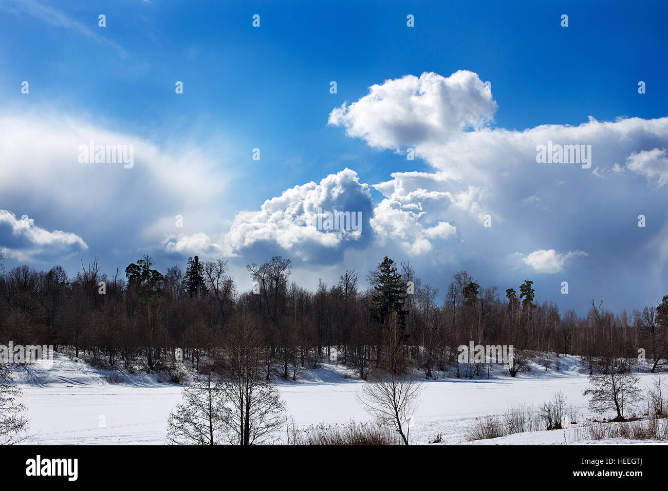 Rural winter landscape of forest, lake and sky Stock Photo - Alamy