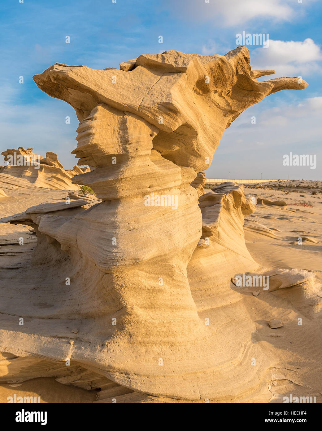 Fossil dunes, Abu Dhabi, UAE Stock Photo - Alamy