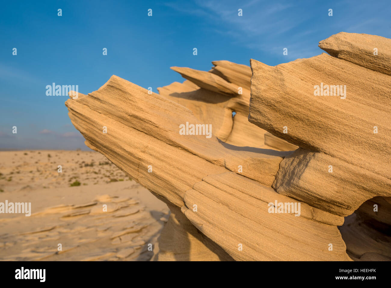 Fossil dunes, Abu Dhabi, UAE Stock Photo - Alamy