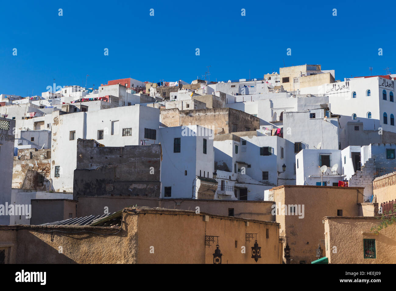 Tannery tetouan morocco hi-res stock photography and images - Alamy