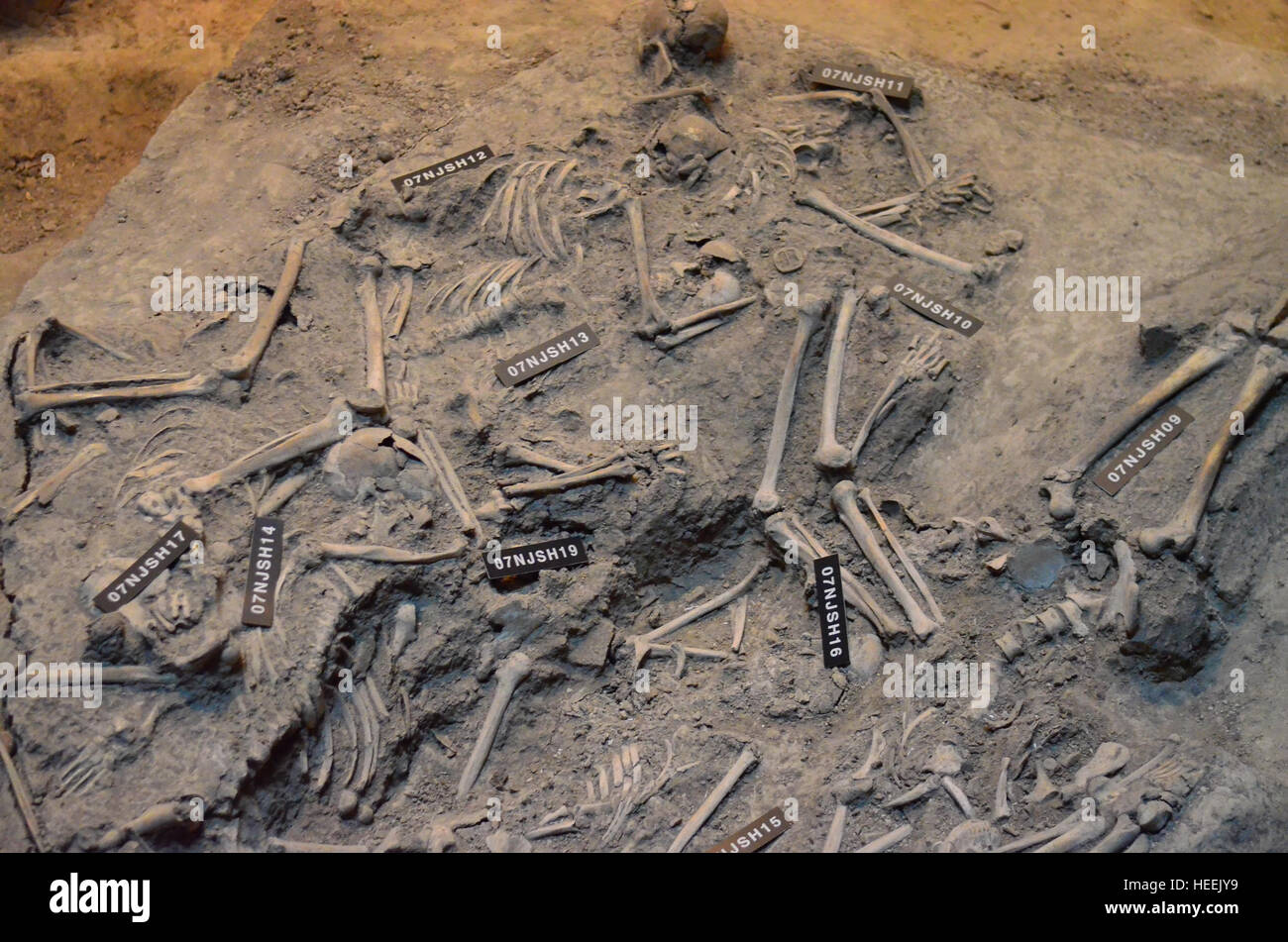 A mass grave showing bones of the dead Stock Photo - Alamy