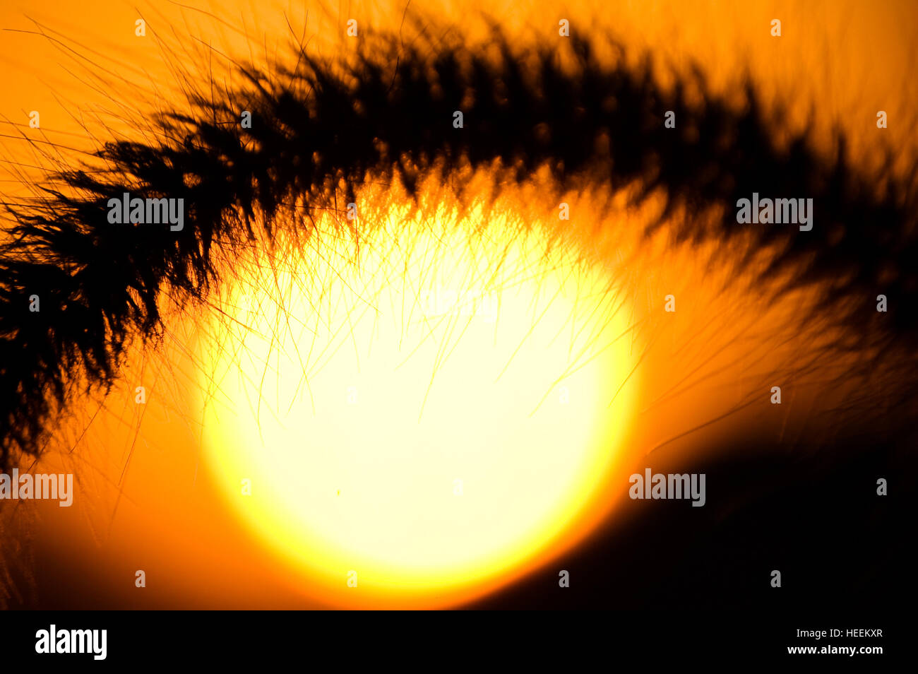 Form contrast hi-res stock photography and images - Alamy