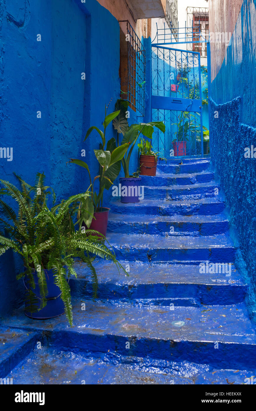 Medina, old town, Tangier, Morocco Stock Photo - Alamy