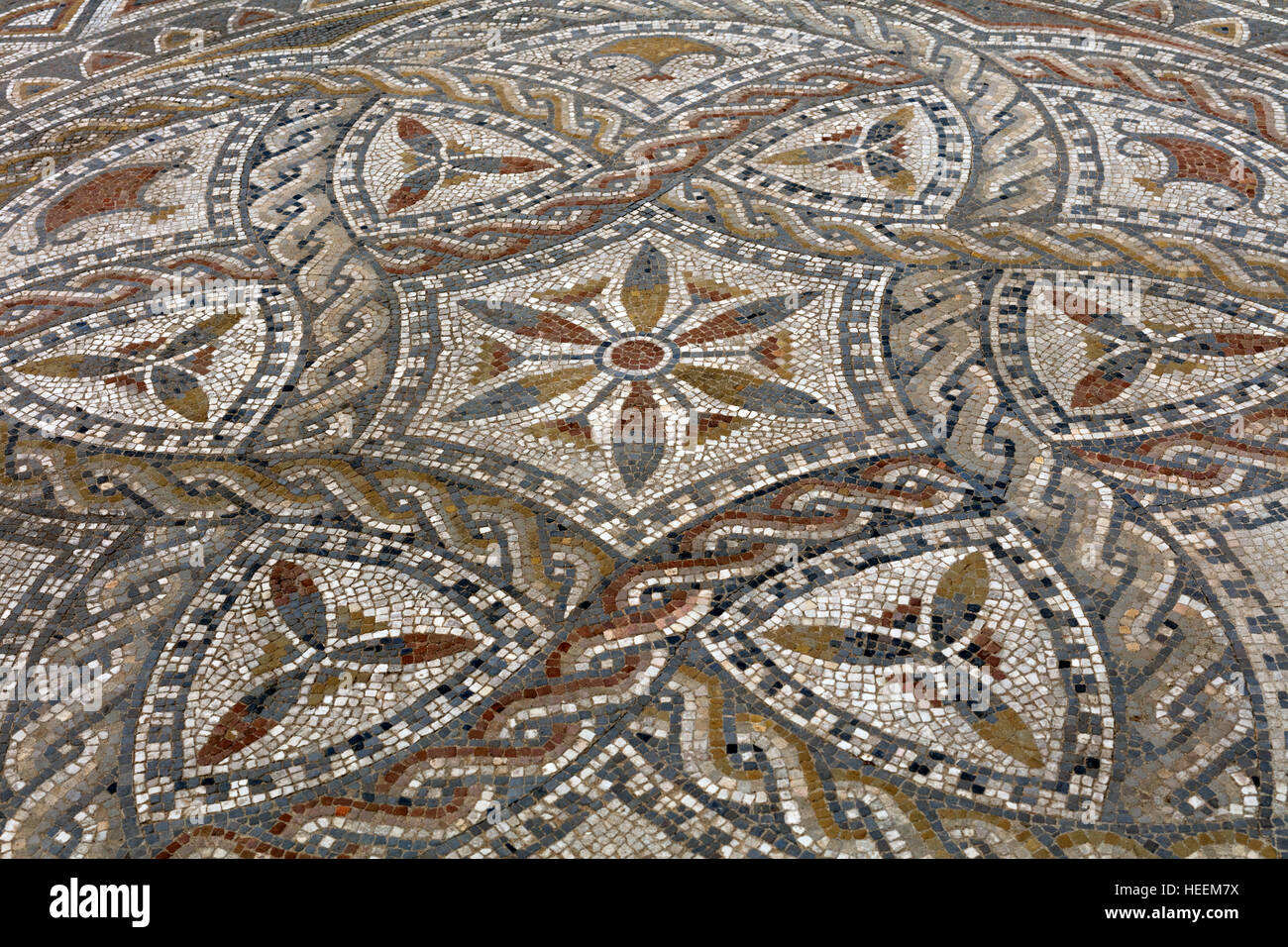 Floor mosaic, Roman ruins, Volubilis, Morocco Stock Photo - Alamy