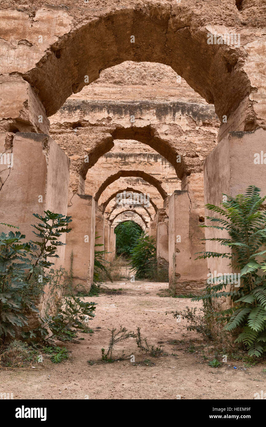 Sultan's stables (18th century), Meknes, Morocco Stock Photo - Alamy