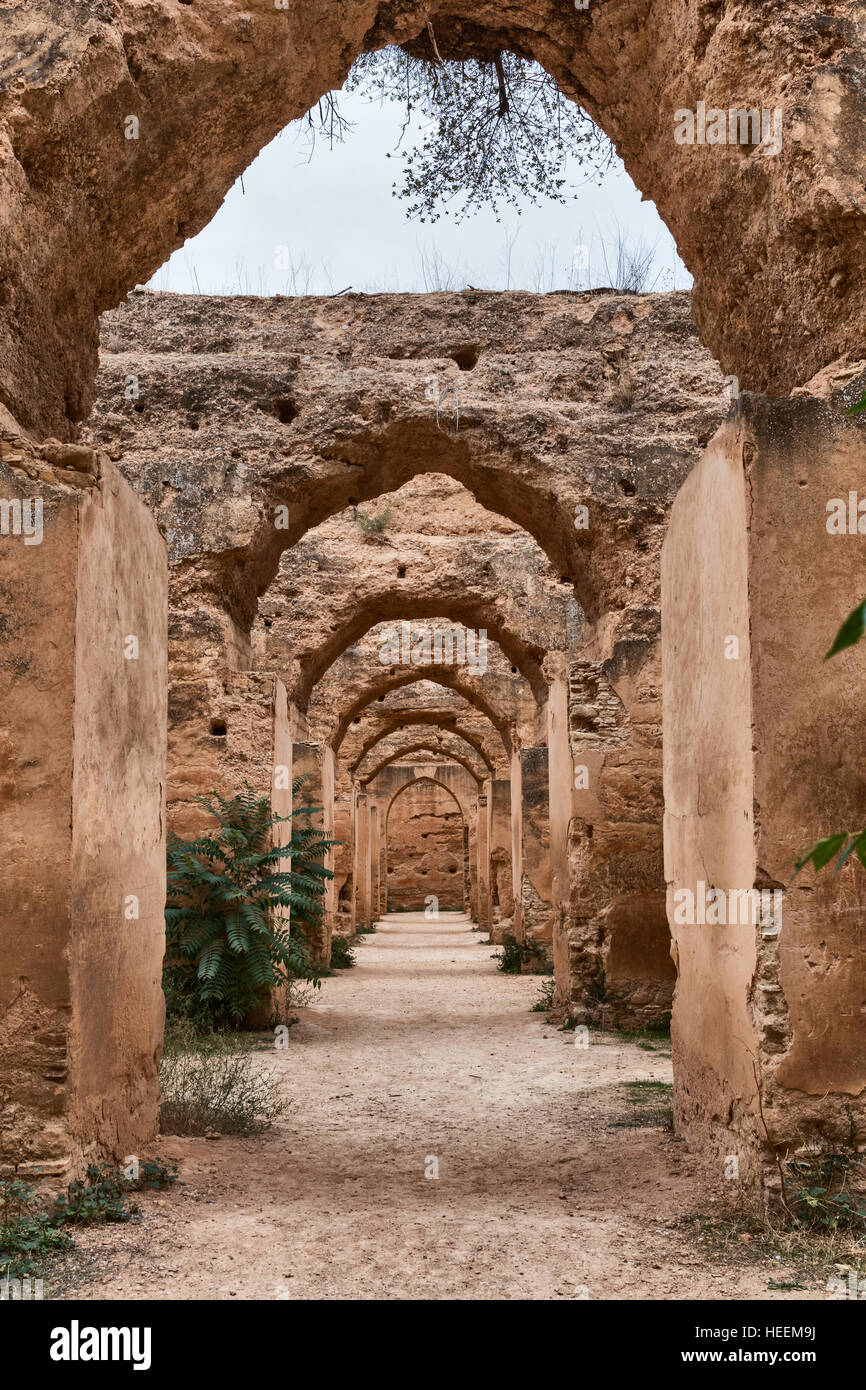 Sultan's stables (18th century), Meknes, Morocco Stock Photo - Alamy