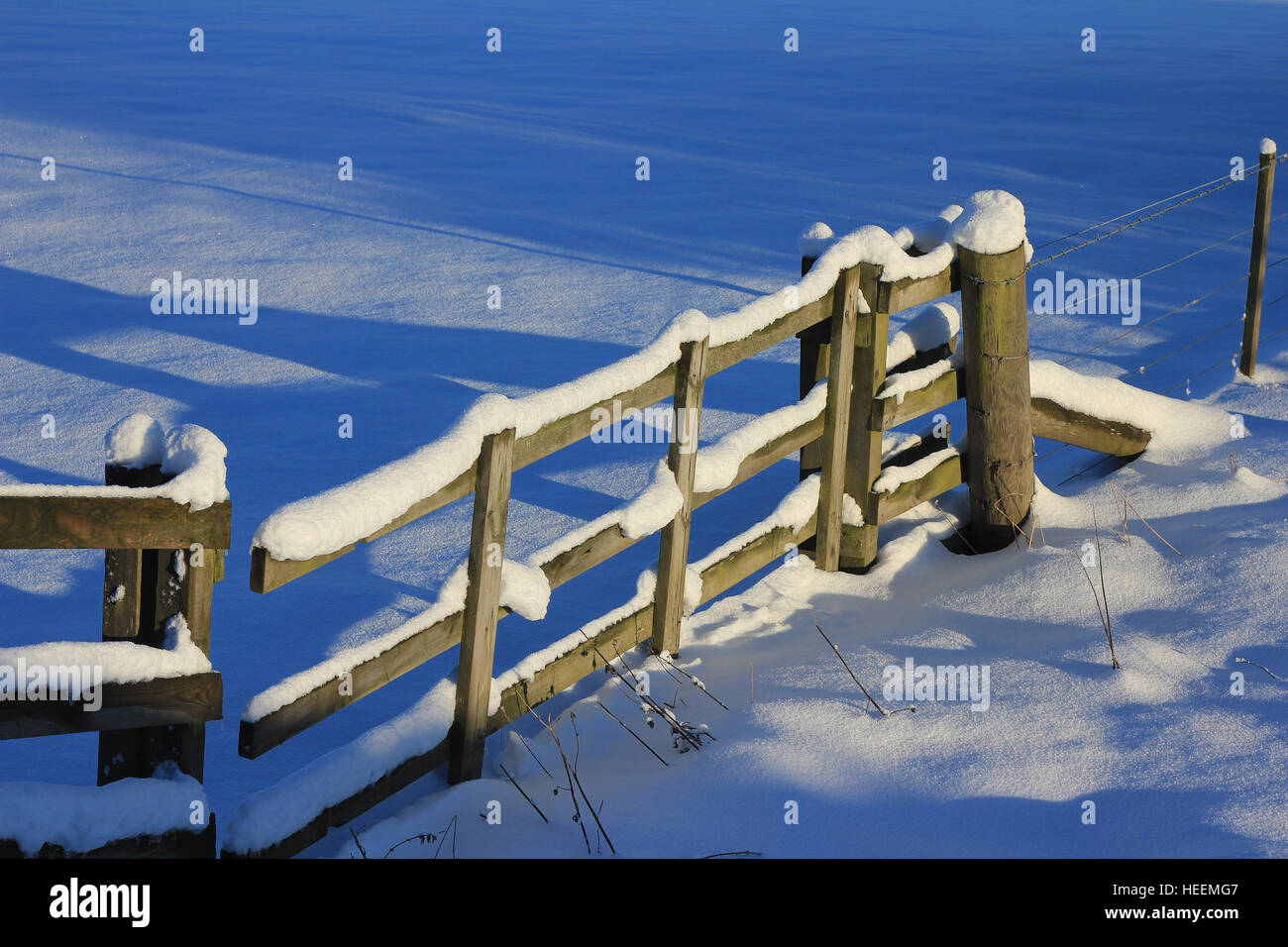 Covered gate hi-res stock photography and images - Alamy