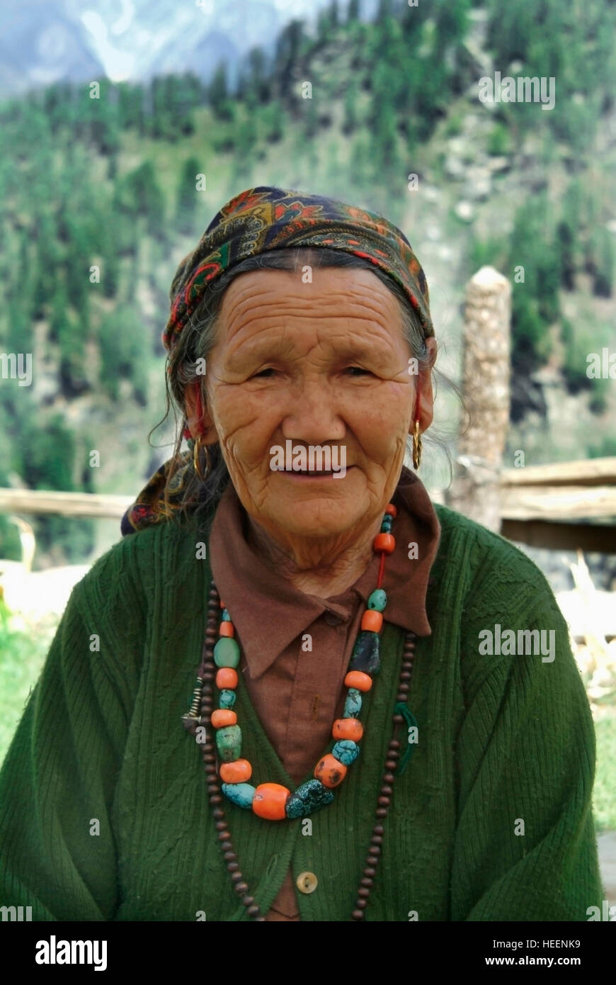 Woman from Himalayan village in India, Himachal Pradesh, India Stock ...