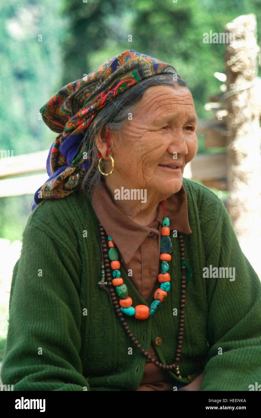 Woman from Himalayan village in India, Himachal Pradesh, India Stock ...