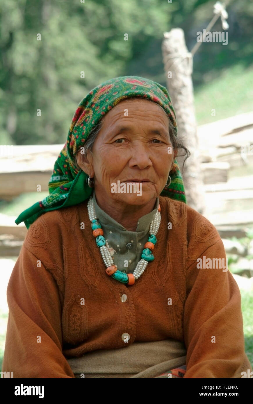 Woman from Himalayan village in India, Himachal Pradesh, India Stock ...