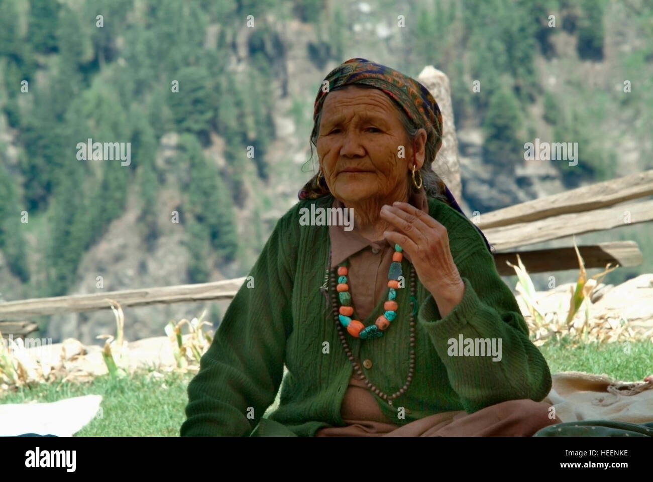 Woman from Himalayan village in India, Himachal Pradesh, India Stock ...