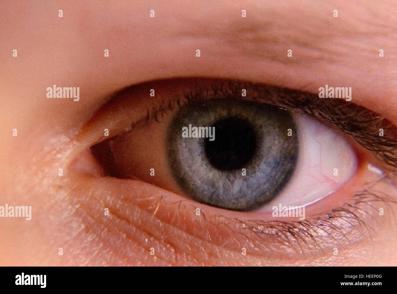 Human Eye - Close-up Stock Photo - Alamy