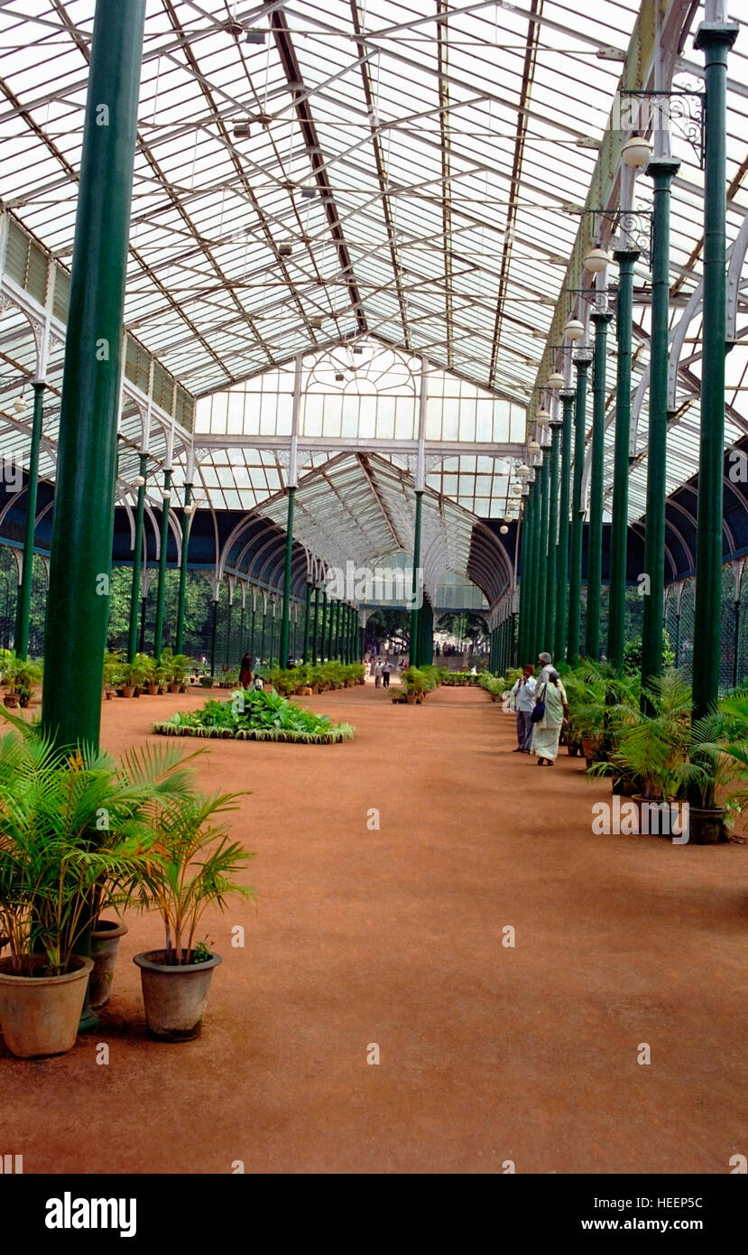 Inside of a green house Stock Photo - Alamy
