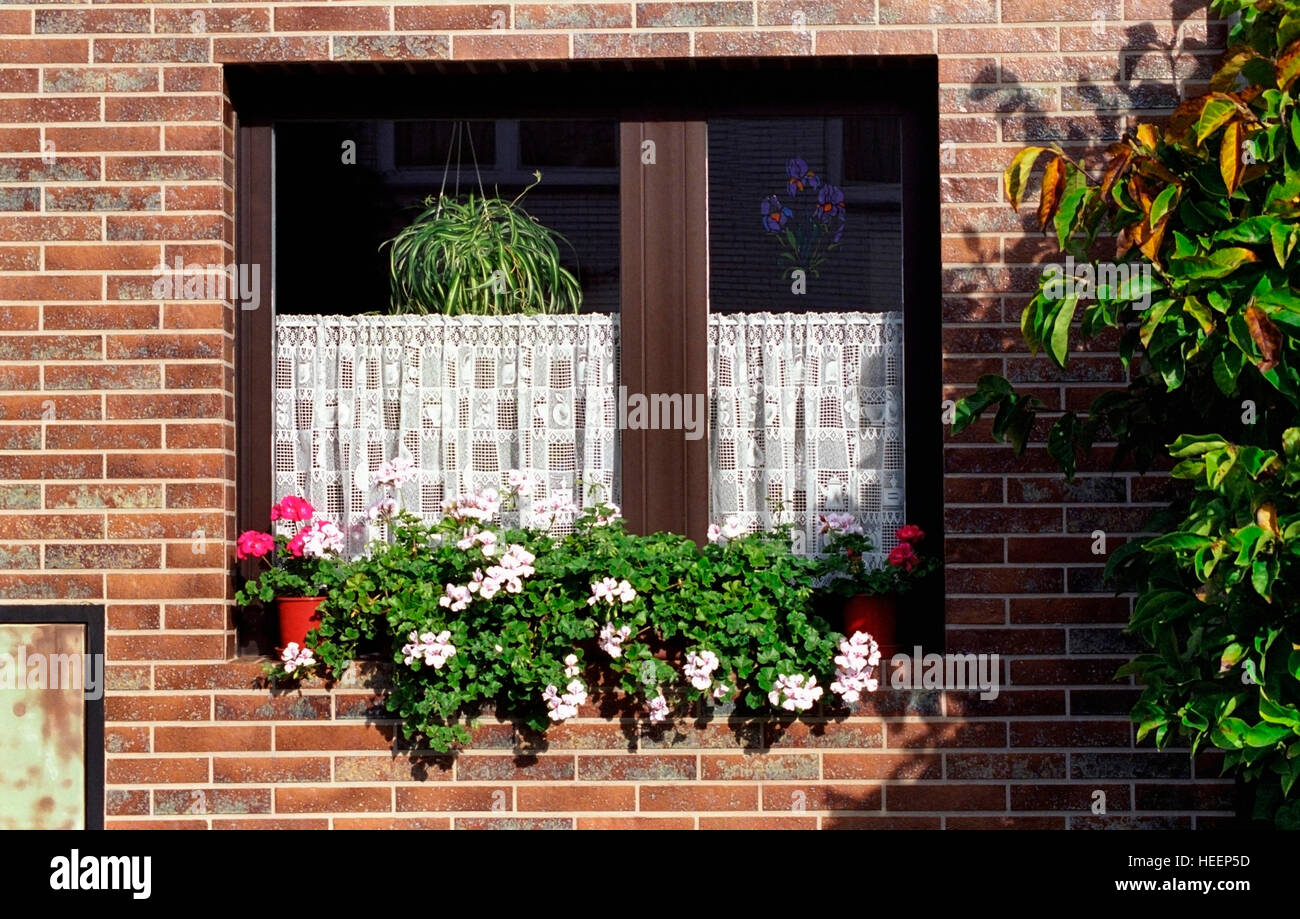 Decorated window with beautiful flowers Stock Photo - Alamy