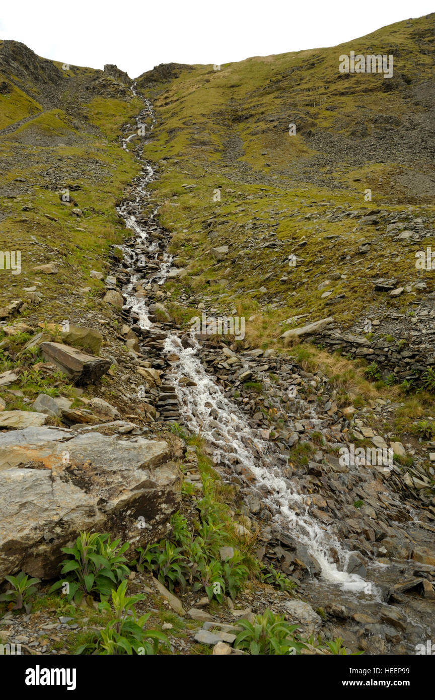 Stream hillside hi-res stock photography and images - Alamy