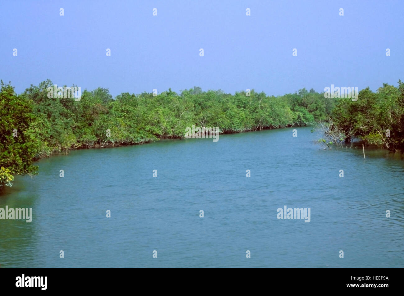 Sunderbans, The largest mangrove delta in the world, declared as ...