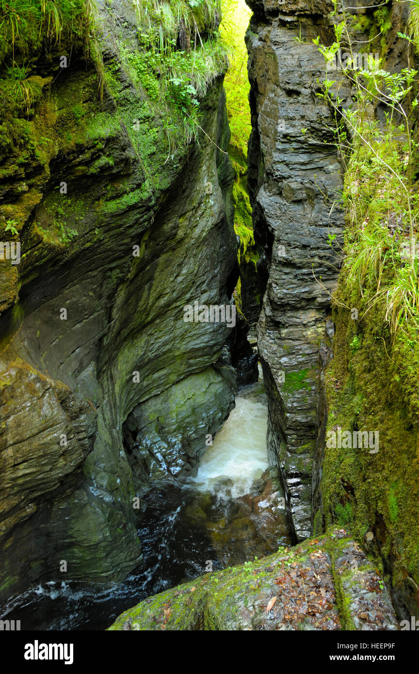 Devil's Bridge Gorge Stock Photo - Alamy