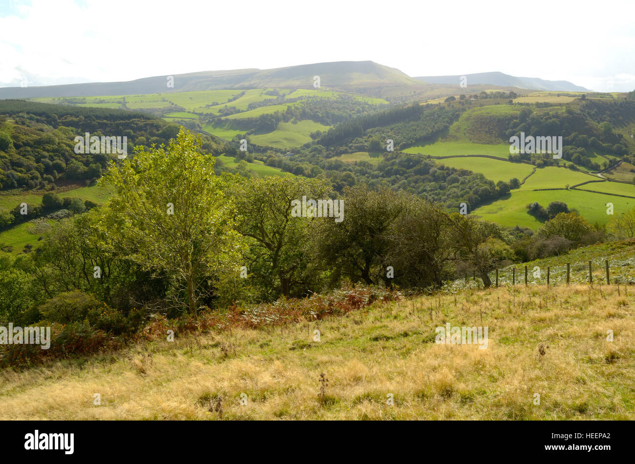 Dulas valley hi-res stock photography and images - Alamy